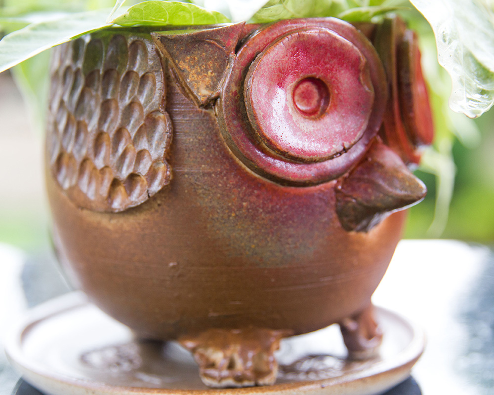 Ceramic Animal Planter | Owl | Kopai - Paar | Indian Craft Store