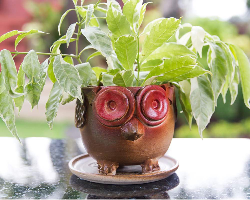 Ceramic Animal Planter | Owl | Kopai - Paar | Indian Craft Store