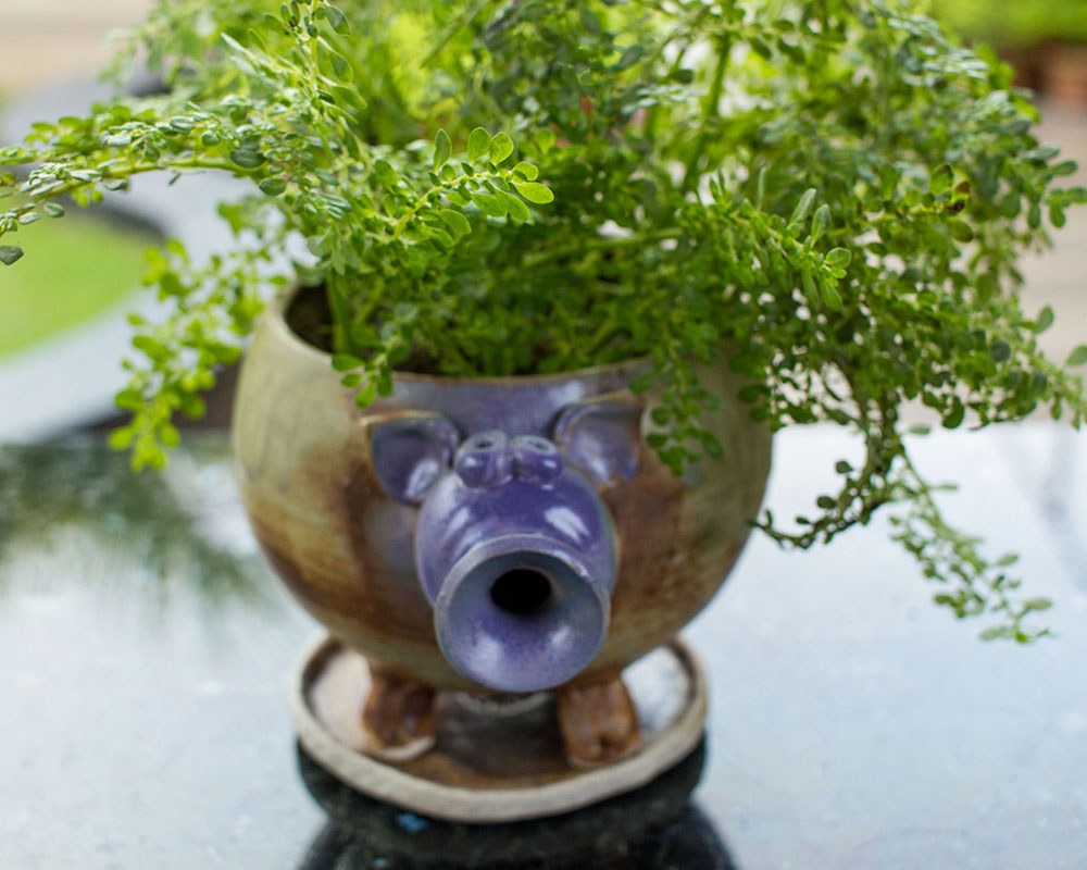 Ceramic Animal Planter | Pig | Kopai - Paar | Indian Craft Store